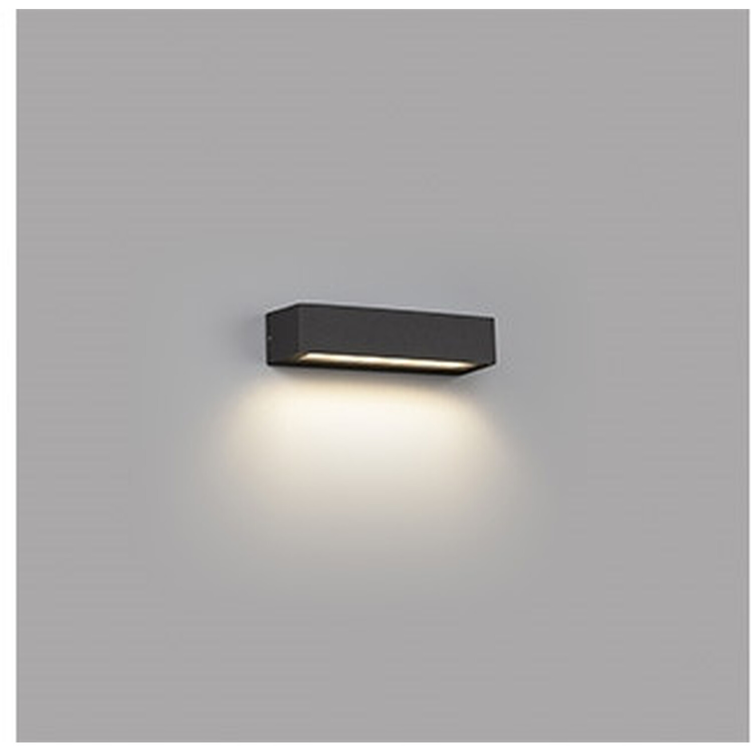 Lako Integrated LED Down Lighter Outdoor Wall Light