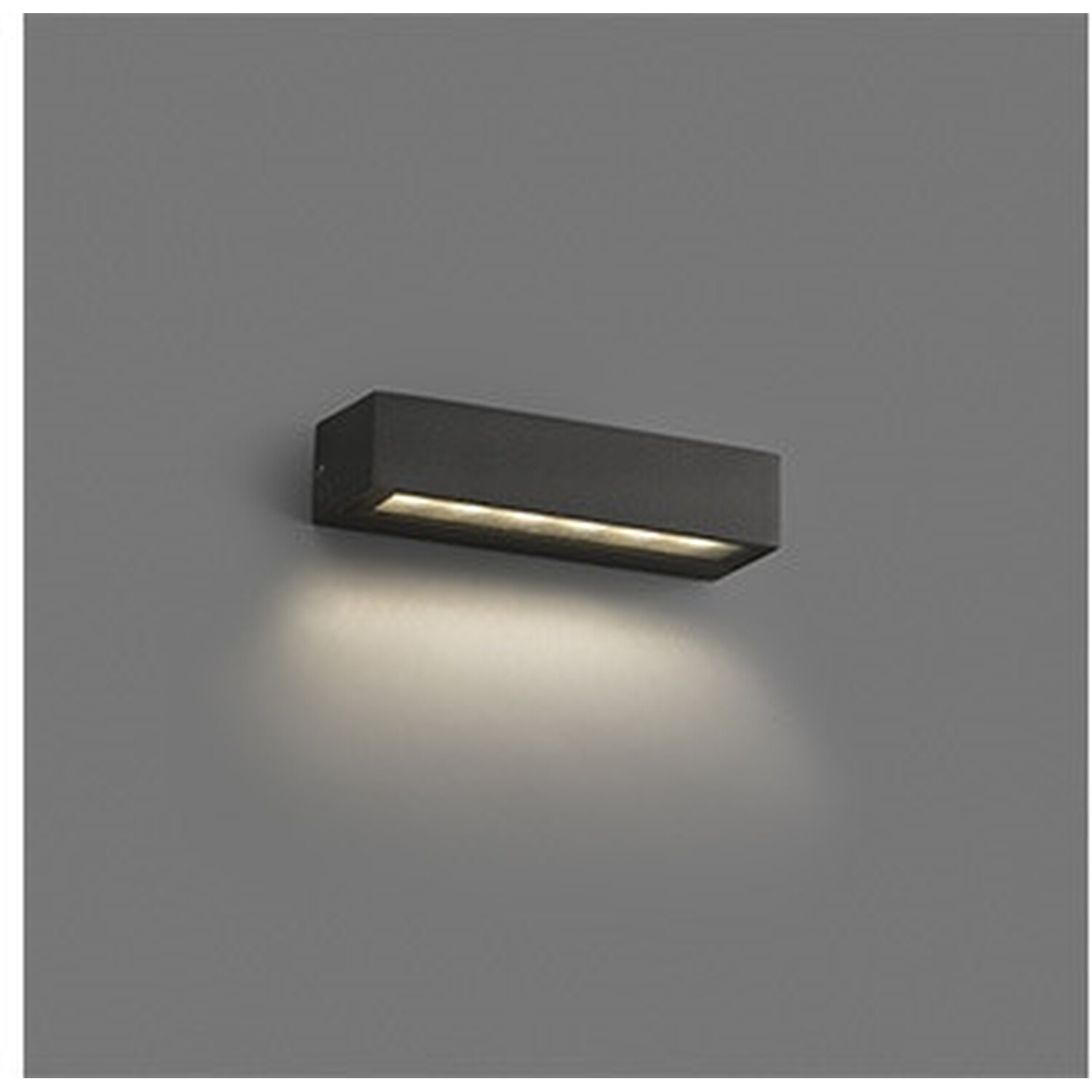 Lako Integrated LED Down Lighter Outdoor Wall Light