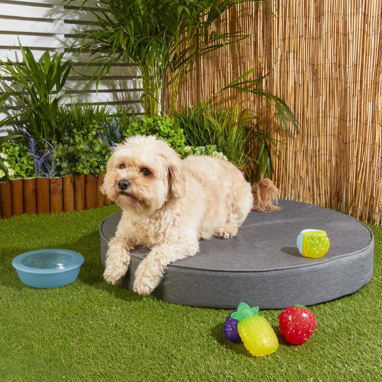 Solid Foam Circular Pet Pad