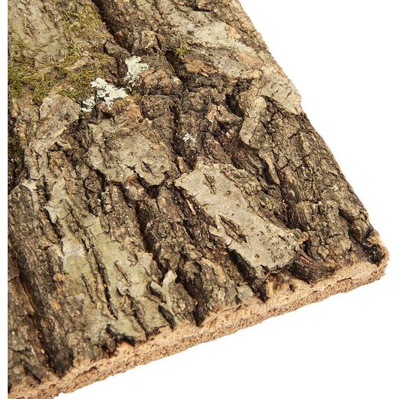Swell Reptiles Natural Cork Tile Background