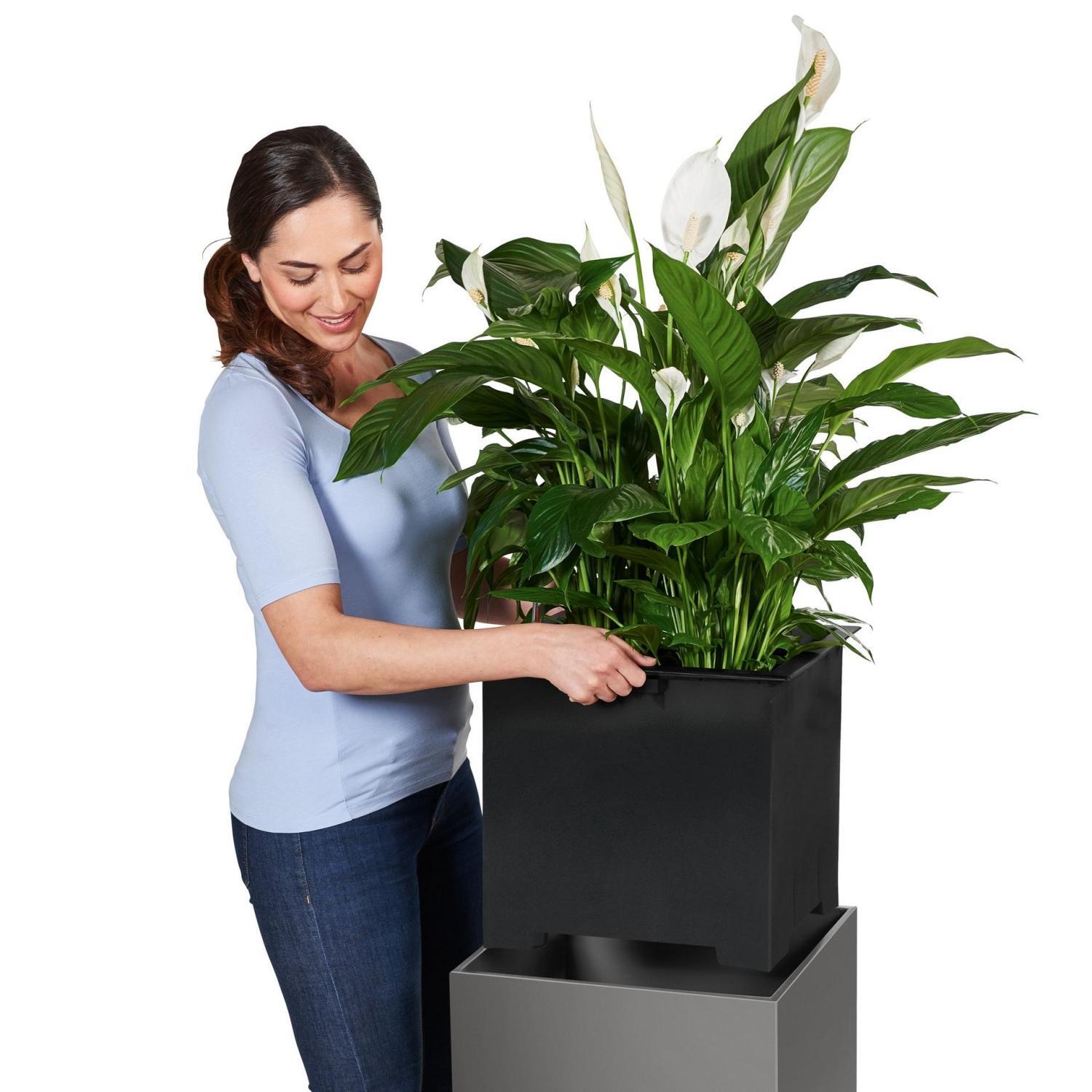 Canto Low Square Self-watering Planter