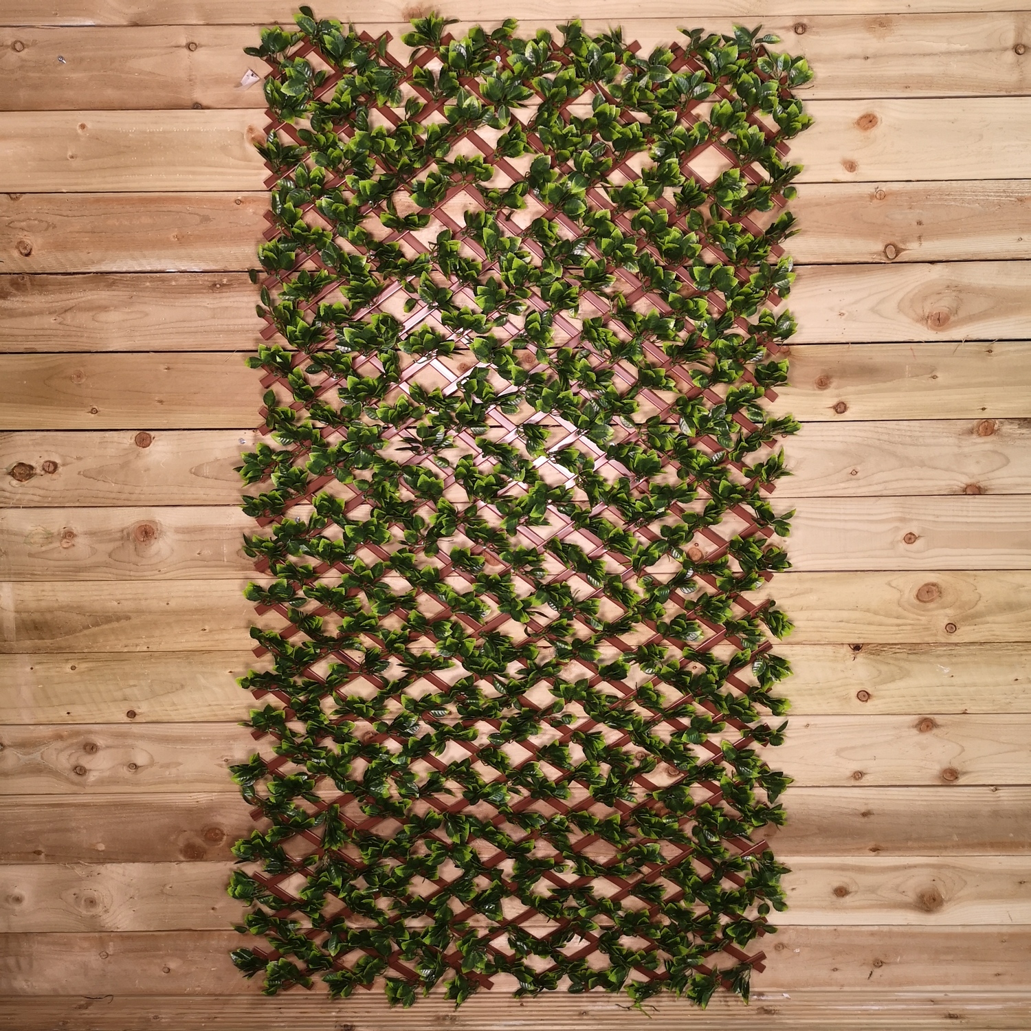 1 x 2m Trellis PE Backed Privacy Screen
