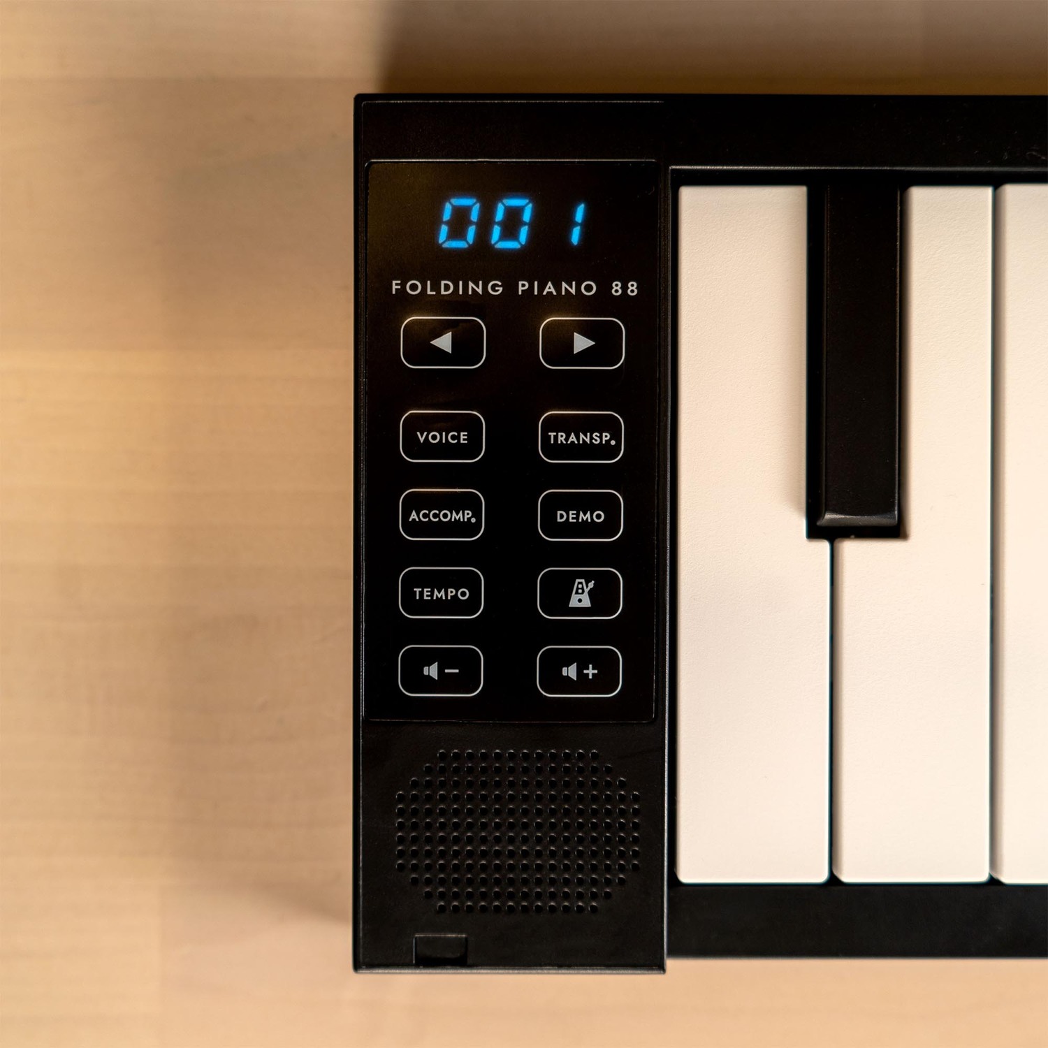 Carry-On 88 Key Black Portable Folding Digital Piano