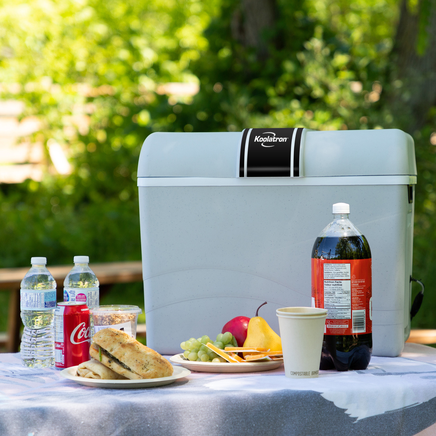 Koolatron 12V Electric Cool Box 42L Portable Cooler Warmer Camping Car ...