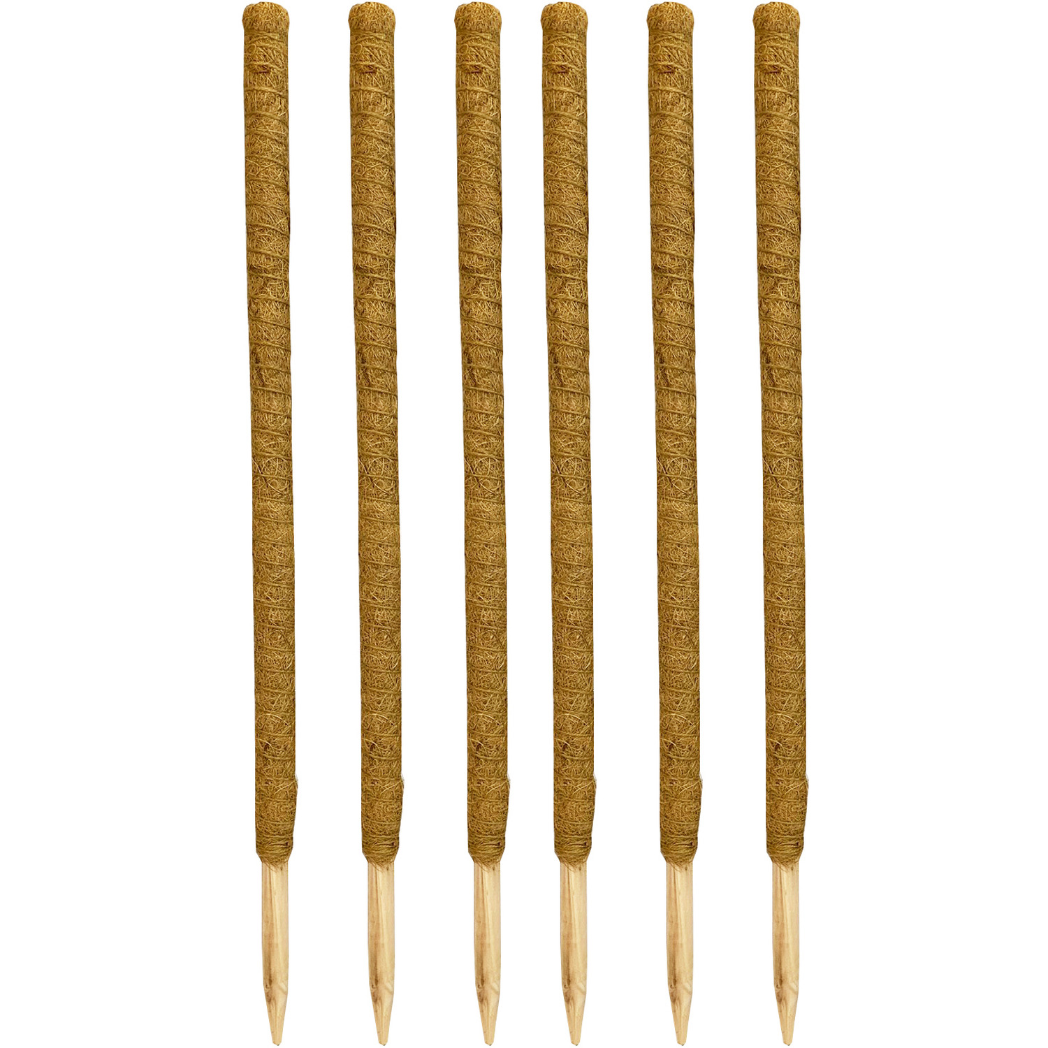Coco Fibre Palm Stick Plant Supports