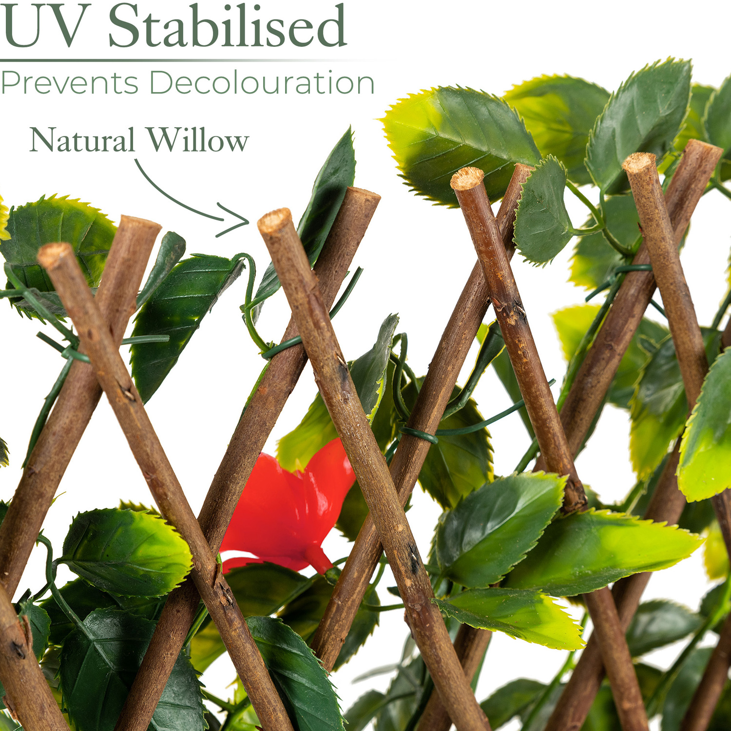 Expanding Artificial Trellis with Flowers