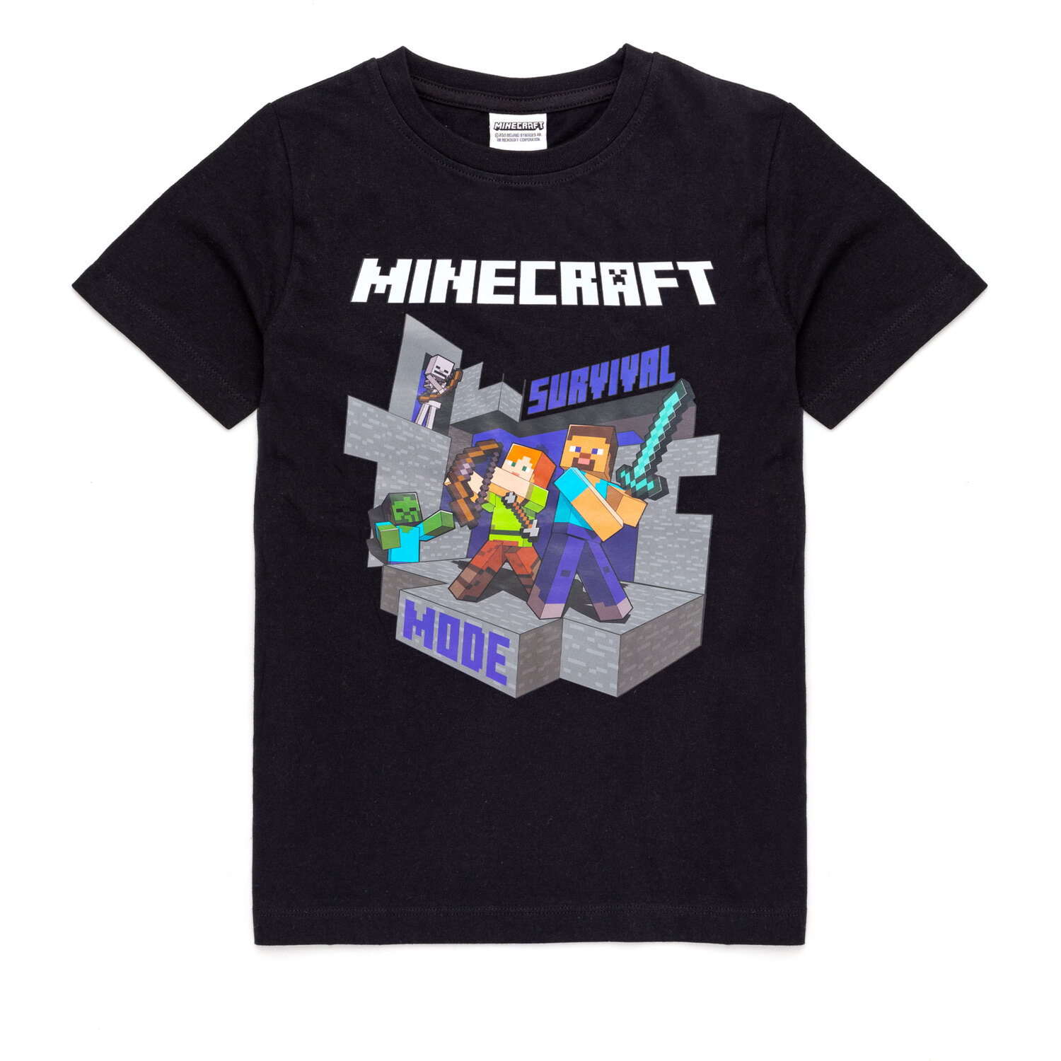 Minecraft Alex And Steve Placement Print Boys Short Sleeved T-Shirt