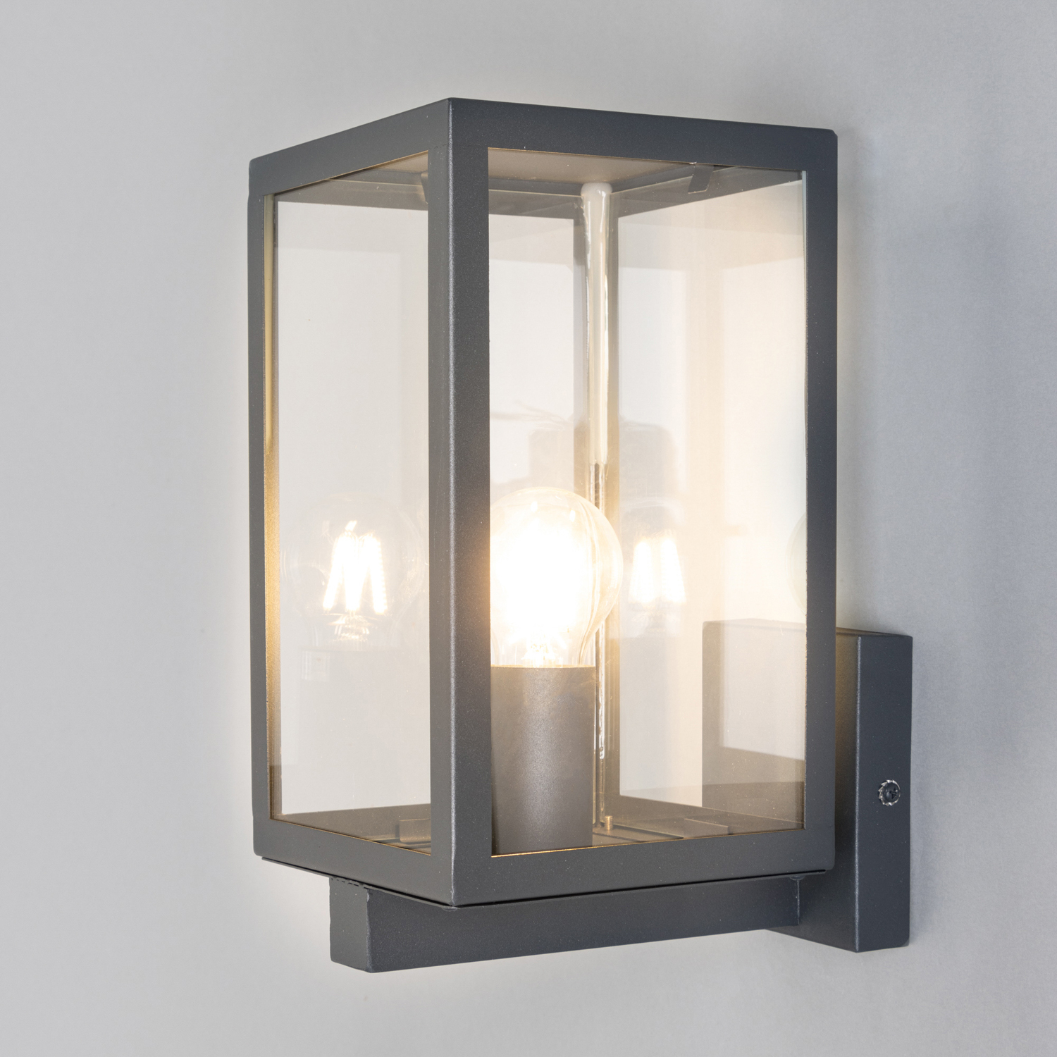Cetus Outdoor Glass Panel Wall Light