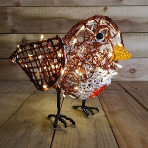 Christmas Robin Collection | The Range