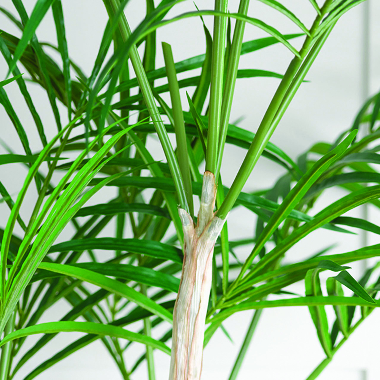 Artificial Large Mixed Palm, Fern and Zebra Plant Arrangement in Vase