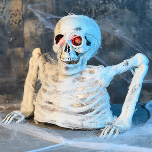 Skeleton Mummy