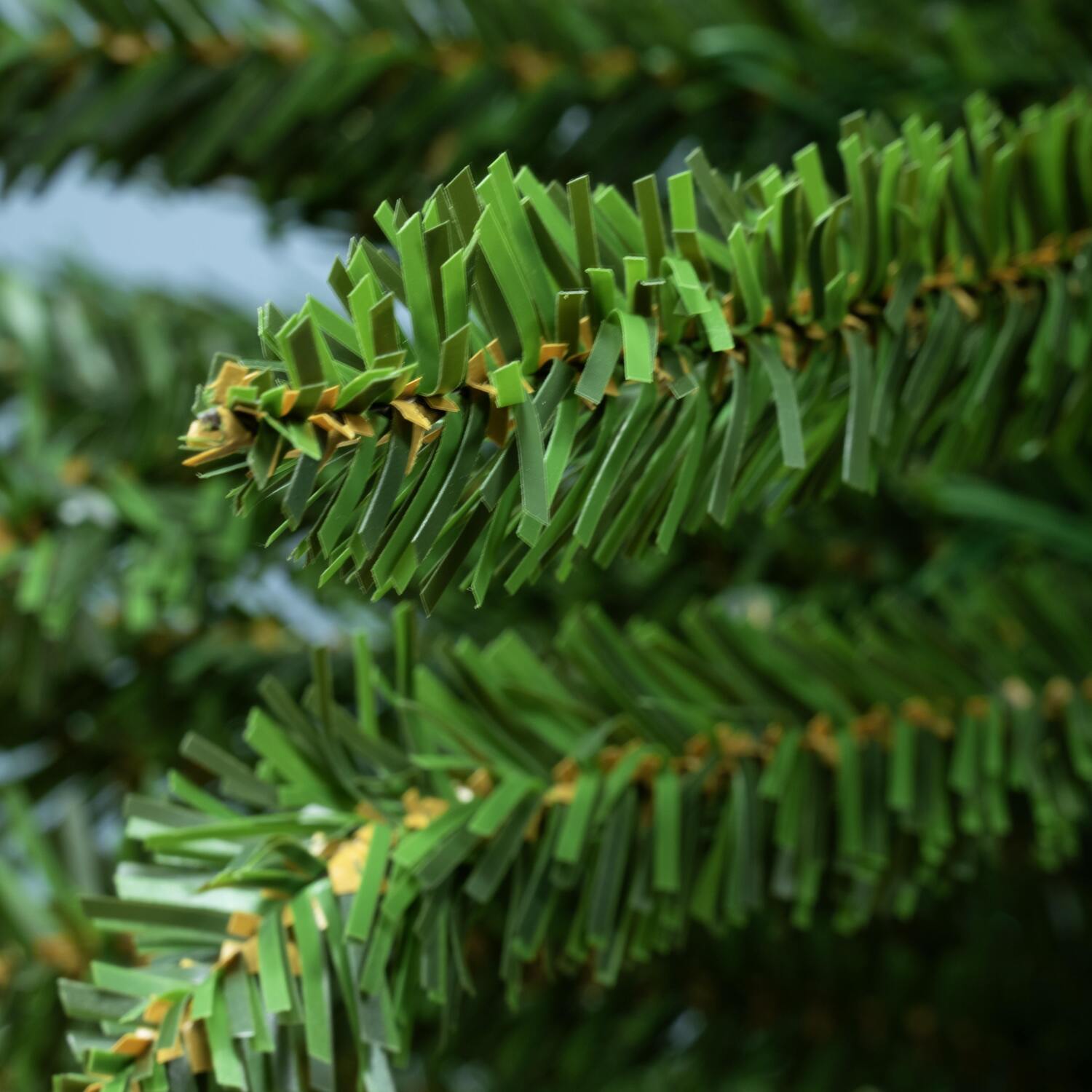 The Italian Pencilimo Tree with Hinged Branches