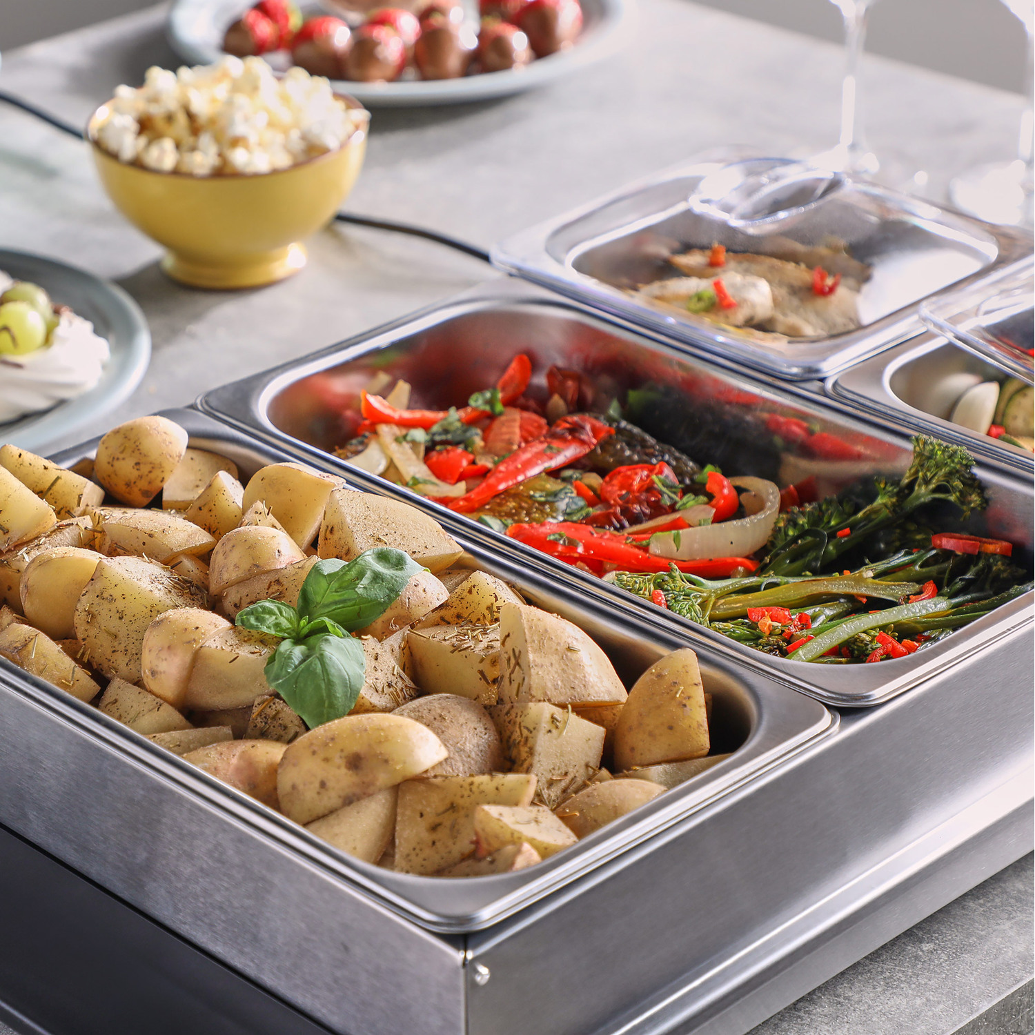 Tabletop Food Warmer for Buffet