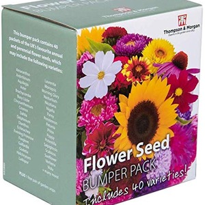 Flower Seeds - Seed Packets | The Range