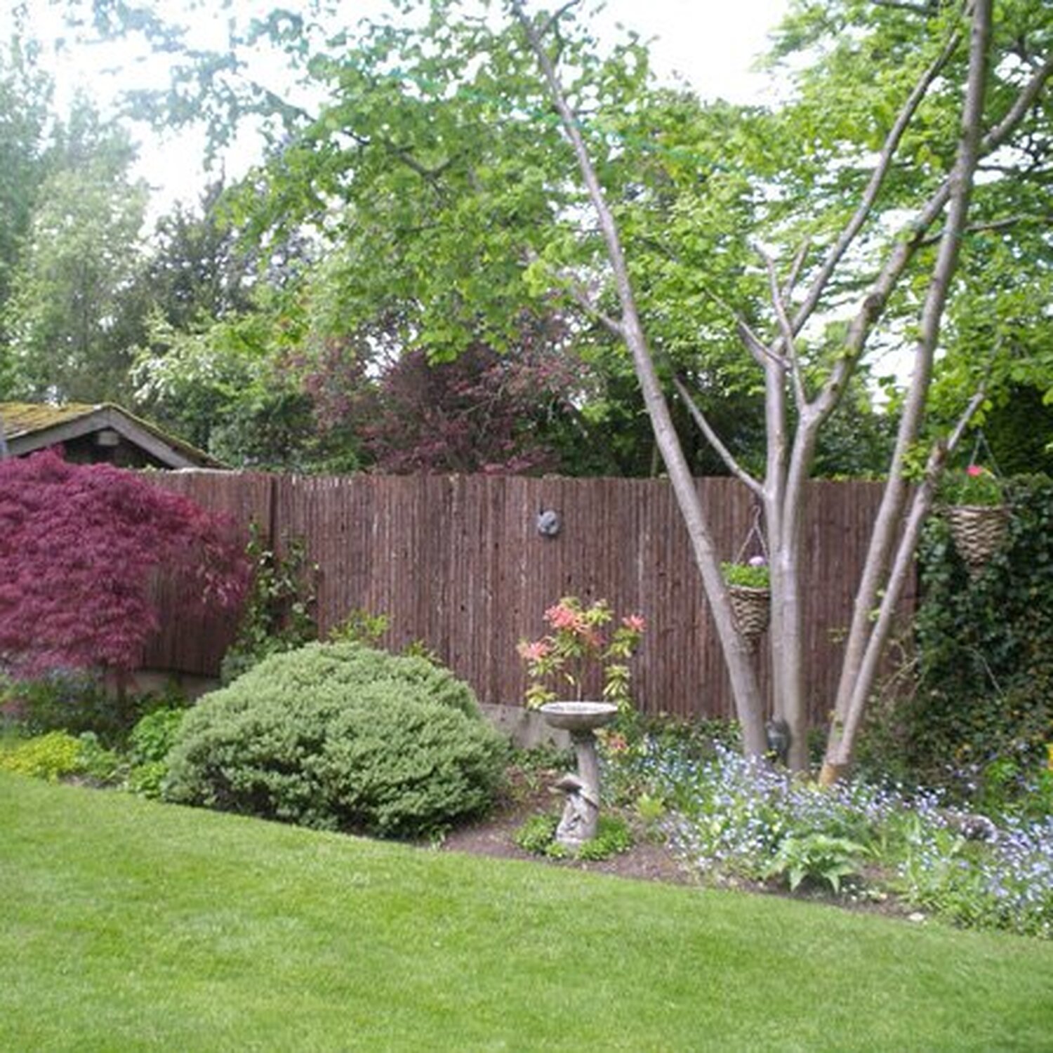 Bark Natural Fencing Screening Rolls