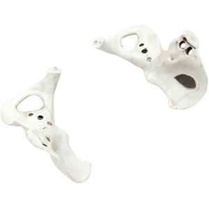 Halloween Realistic Skeleton Decoration Kit