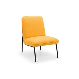 Cushion Chair with Black Metal Frame