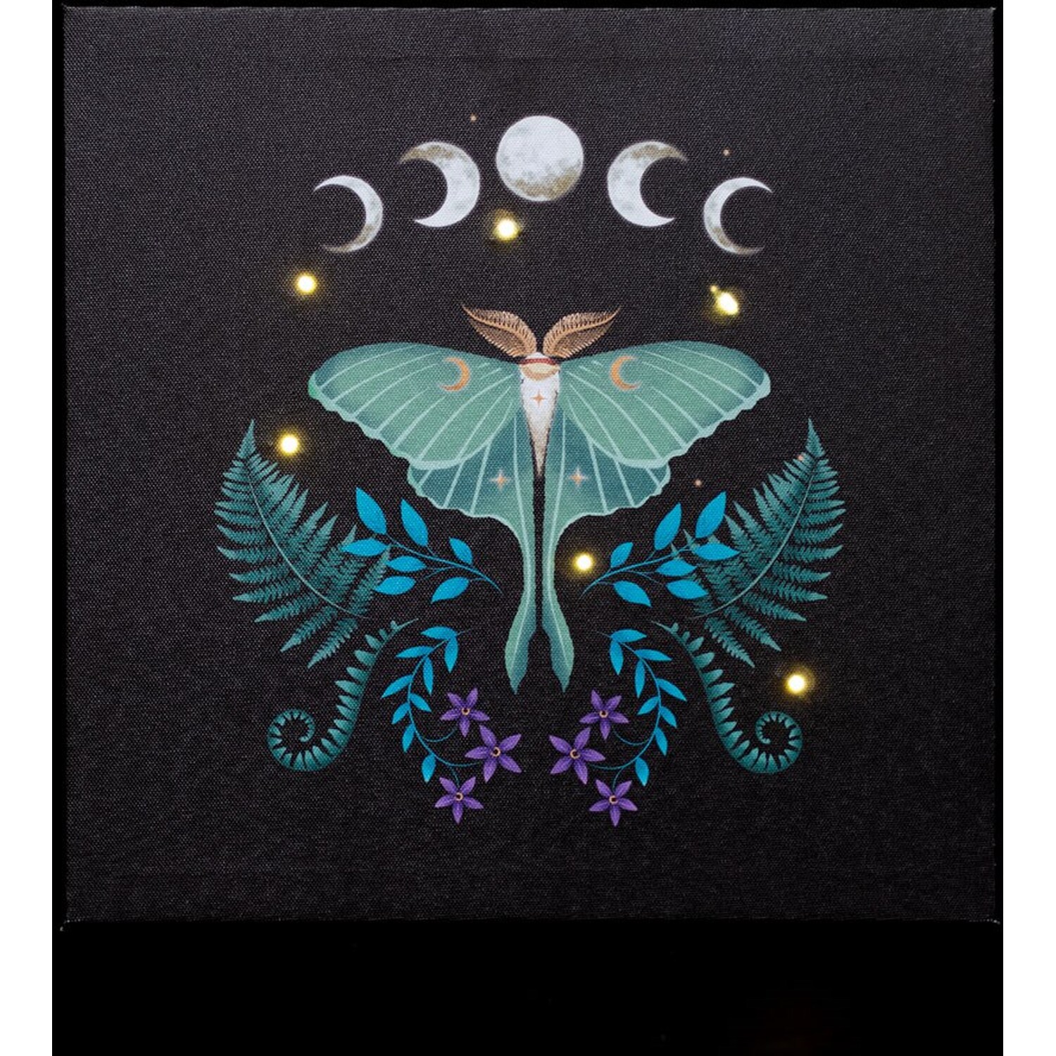 Light up Luna Moth Canvas Print 30 cm