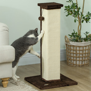 PawHut 81cm Cat Scratching Post with Natural Jute Rope and Hanging Ball