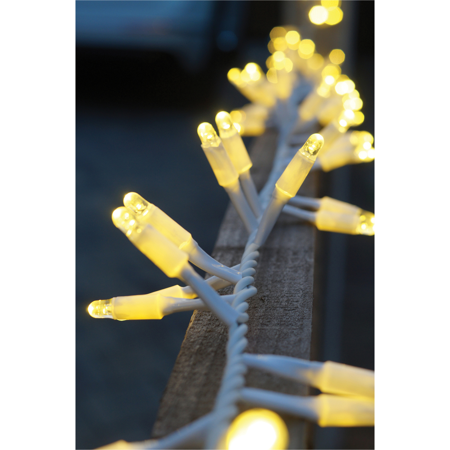 Cluster Lights White Rubber IP65 WW 50M