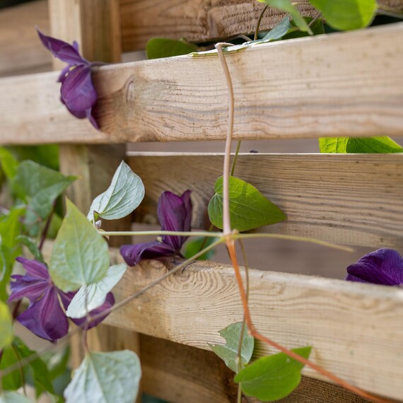 Living Screen Planter