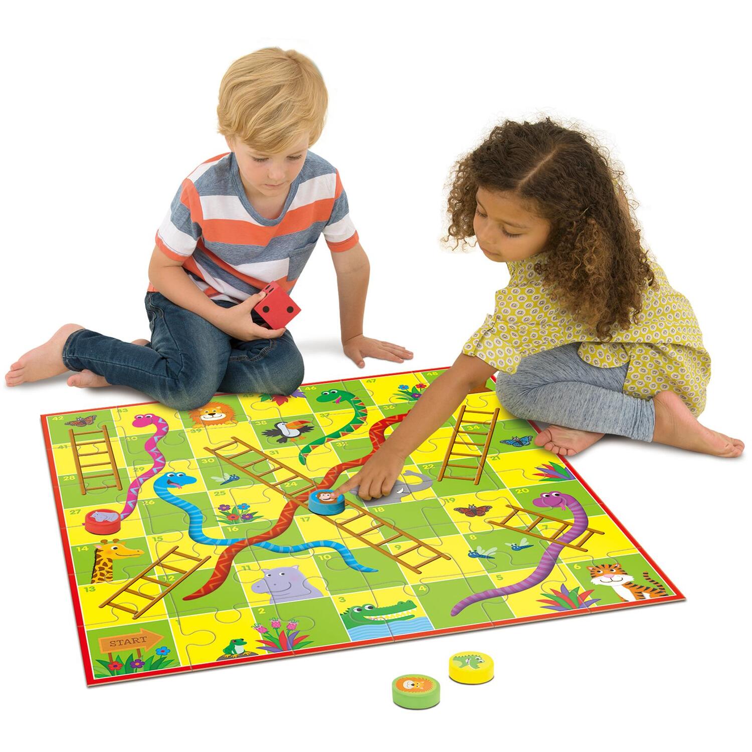 Giant Snakes and Ladders Puzzle