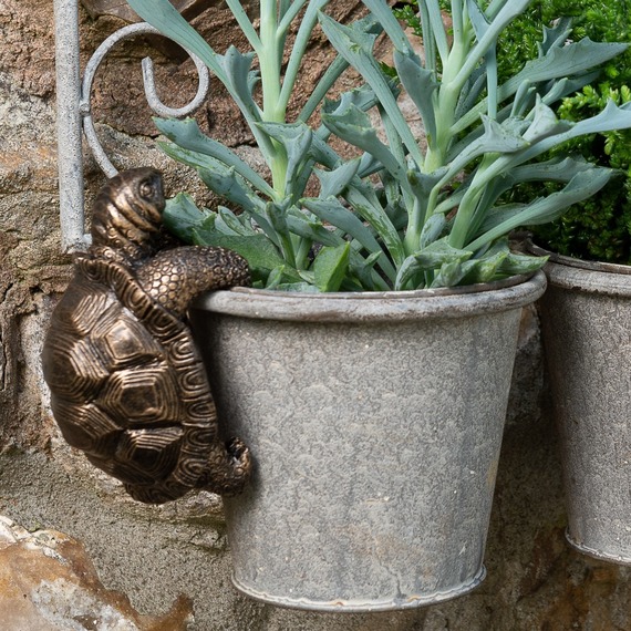 Tortoise Plant Pot Hanger