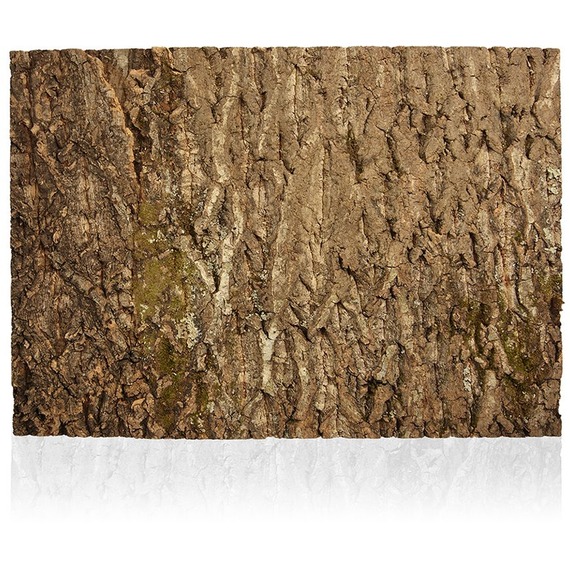 Swell Reptiles Natural Cork Tile Background