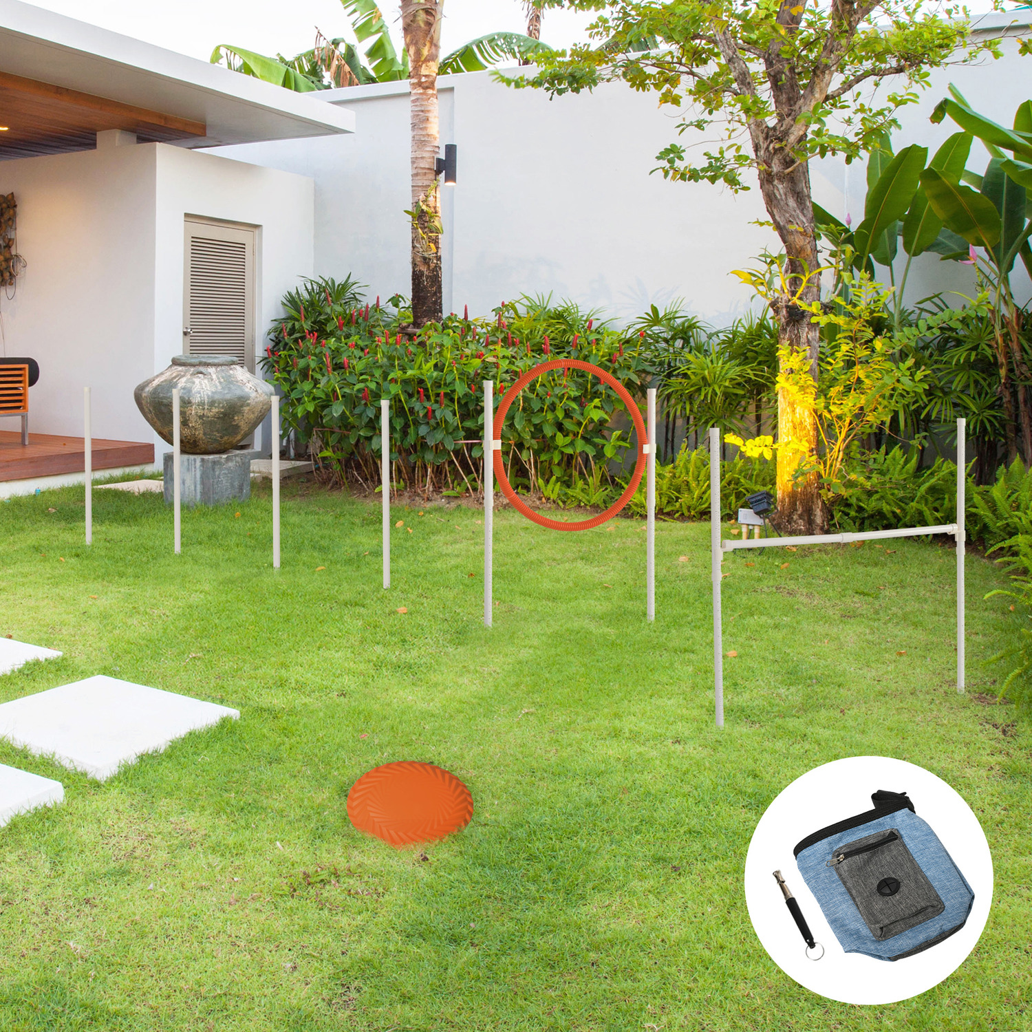 Dog Agility Training Equipment Obedience Training for Dogs