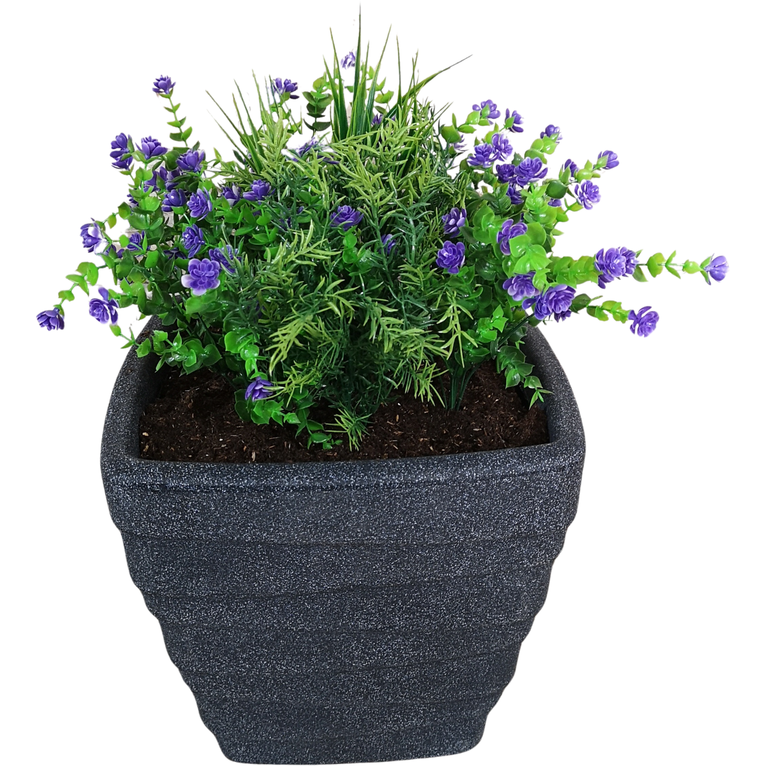 Small Square Garden Trojan Plant Pot